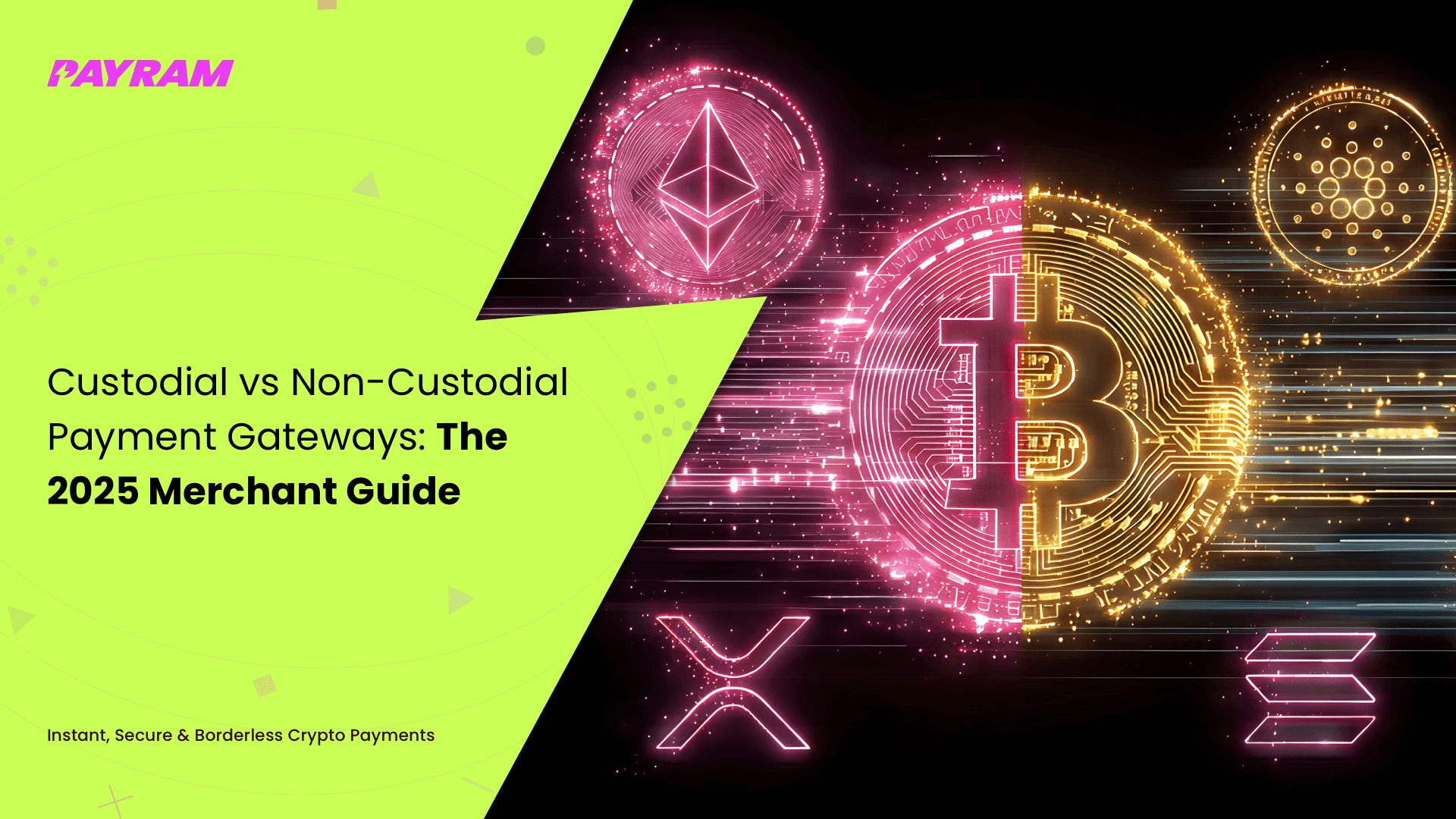 What is PayFi? The Ultimate 2025 Guide to Crypto's Payment Revolution | PayRam